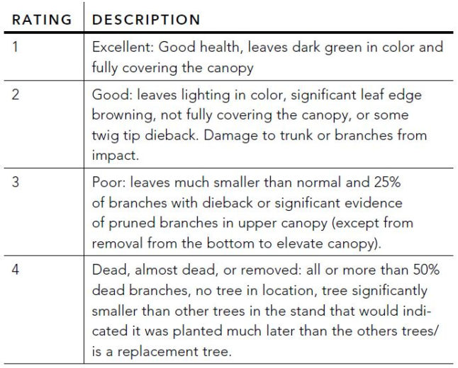 Silva Cell Research Part 1: Study design and raw growth results ...