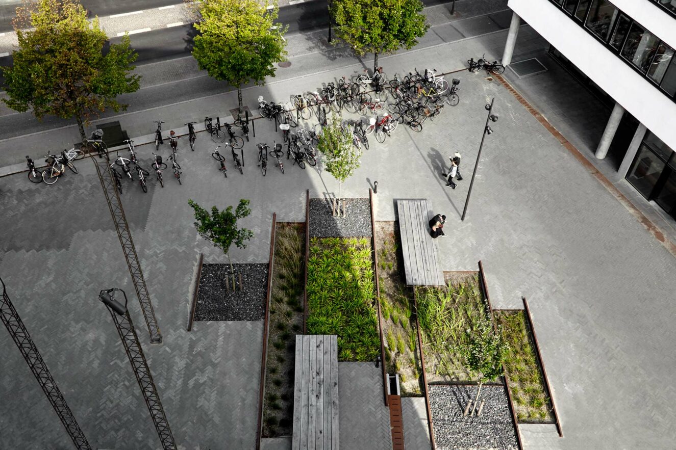 The Livable City Revolution | DeepRoot Blog