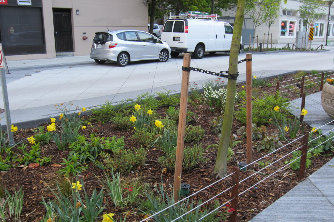 Trees and sidewalks: A strategic approach to conflicts | DeepRoot Blog