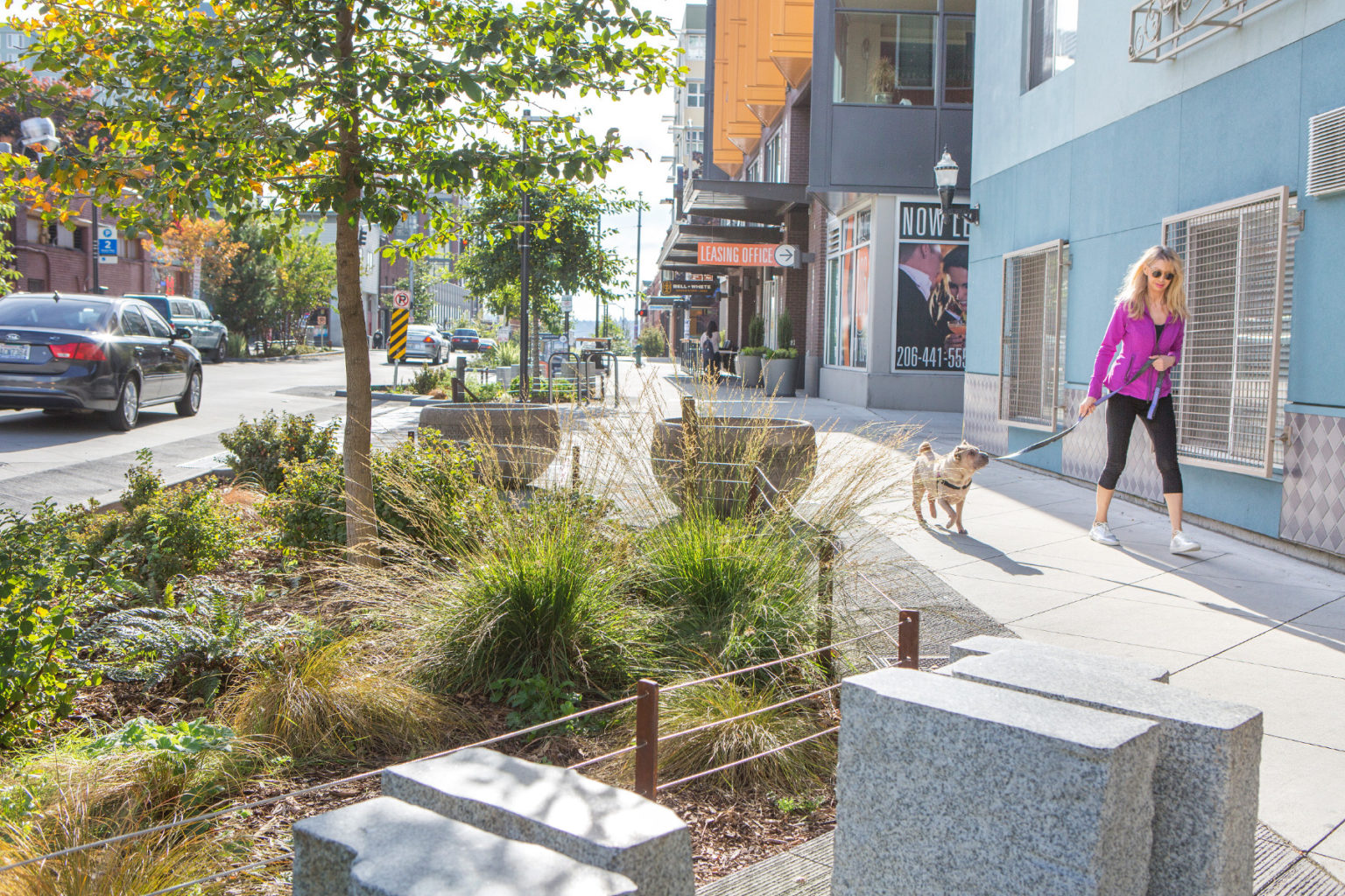 Trees and Edge Protection: The use of tree fences in the urban ...