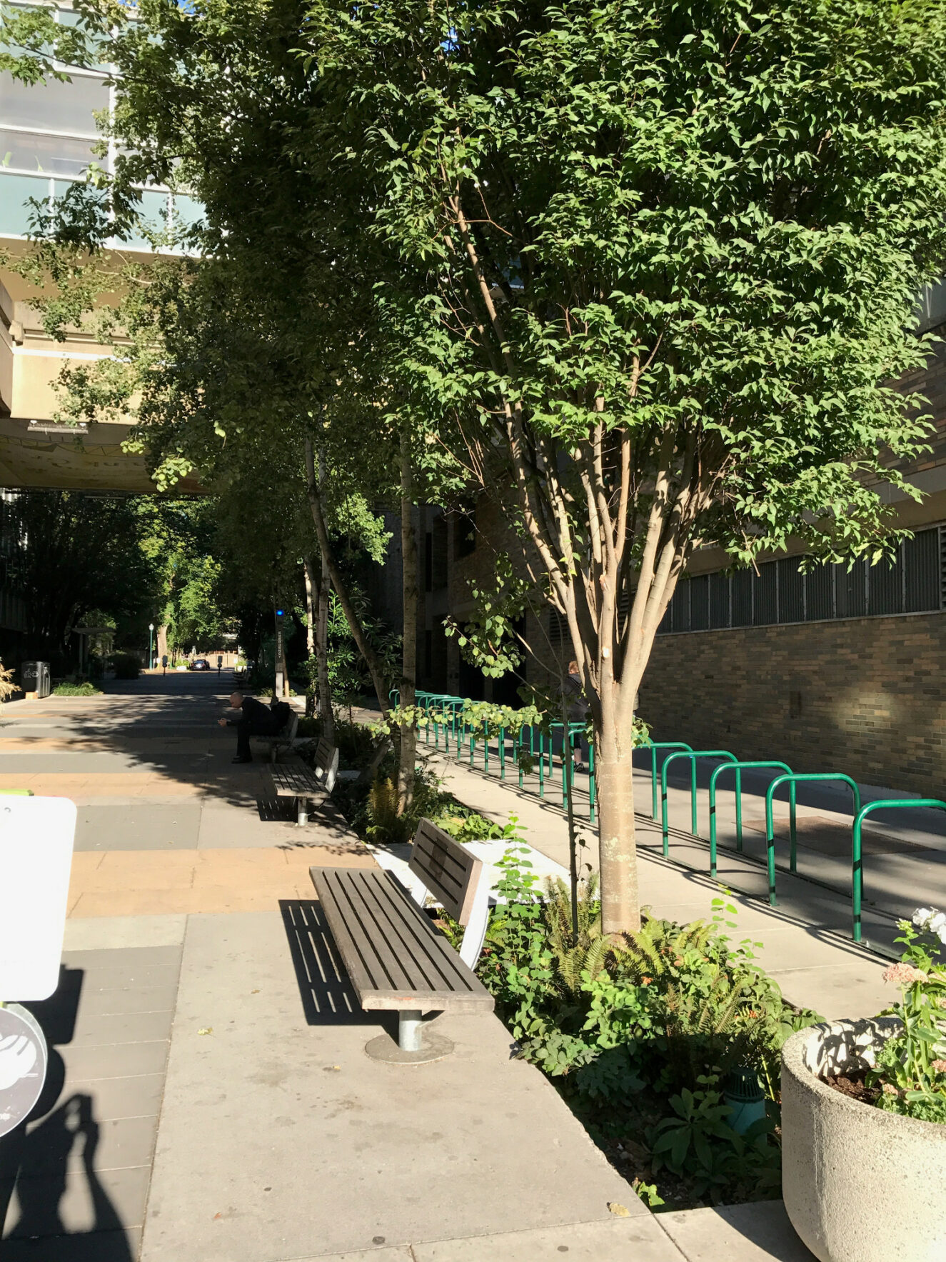 Nursery Inspections: Creating and enforcing plant quality ...