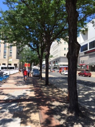 Celebrating Philadelphia’s First Suspended Pavement System | DeepRoot Blog