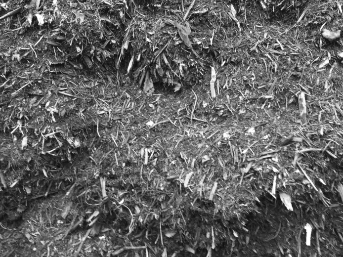 Specifying Compost: How to Get Quality Compost and Avoid Unnecessary ...