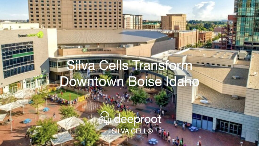 Silva Cells Transform Downtown Boise Idaho - LAM Feature | DeepRoot Blog