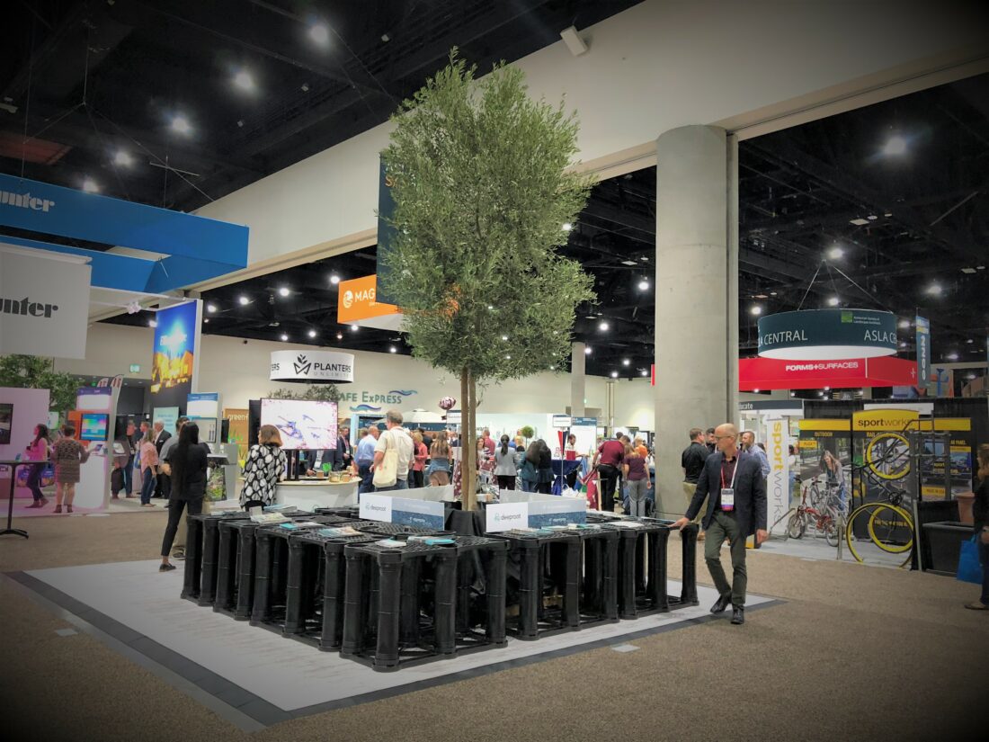 New Year, New Tree! | DeepRoot Blog