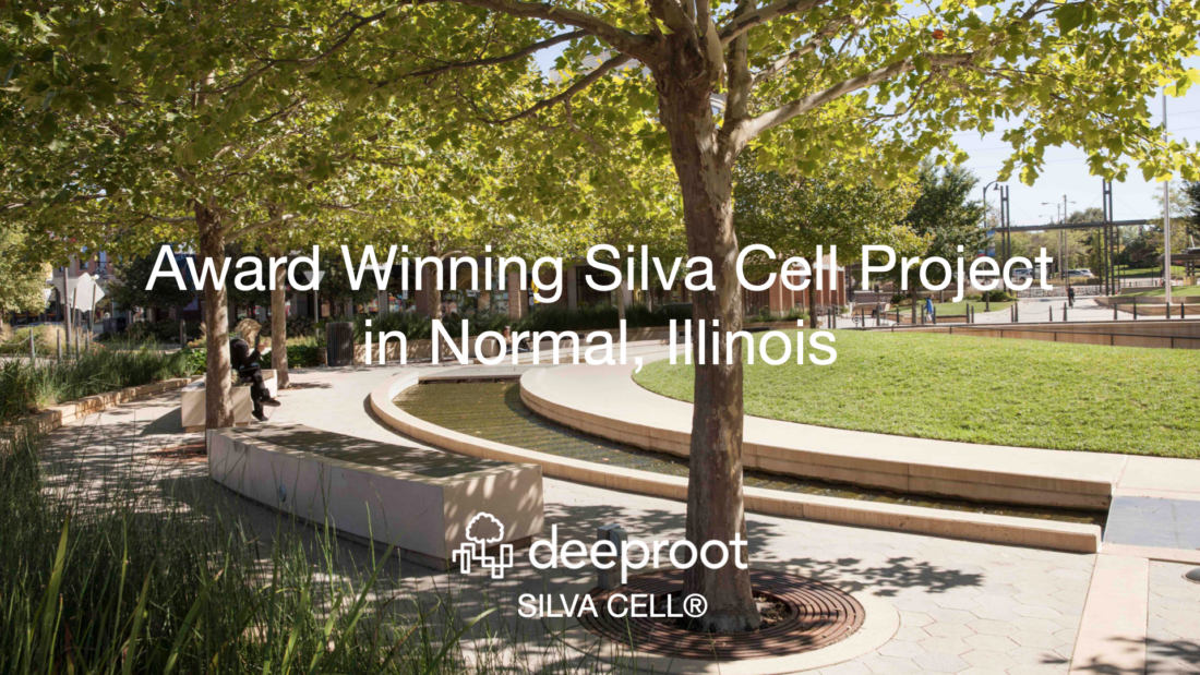 The New Normal: A Silva Cell Case Study in Normal, Illinois | DeepRoot Blog
