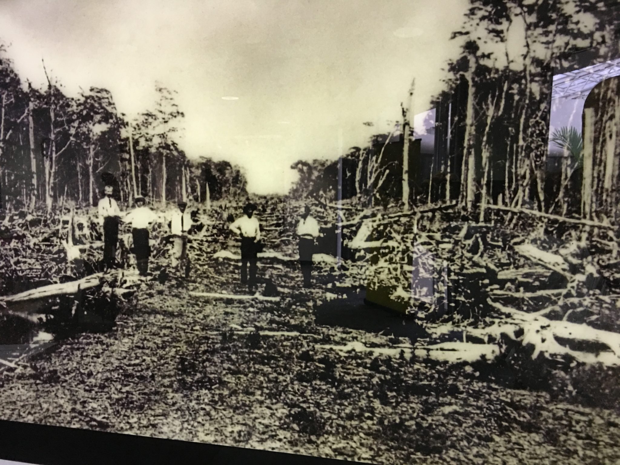 Lincoln Road 10 Years of Success | Case Study | DeepRoot