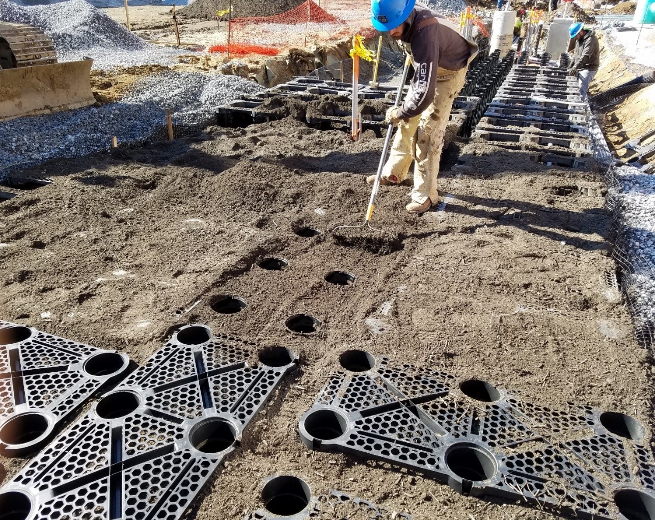 17th St. Multi-Use Plaza | Case Study | DeepRoot