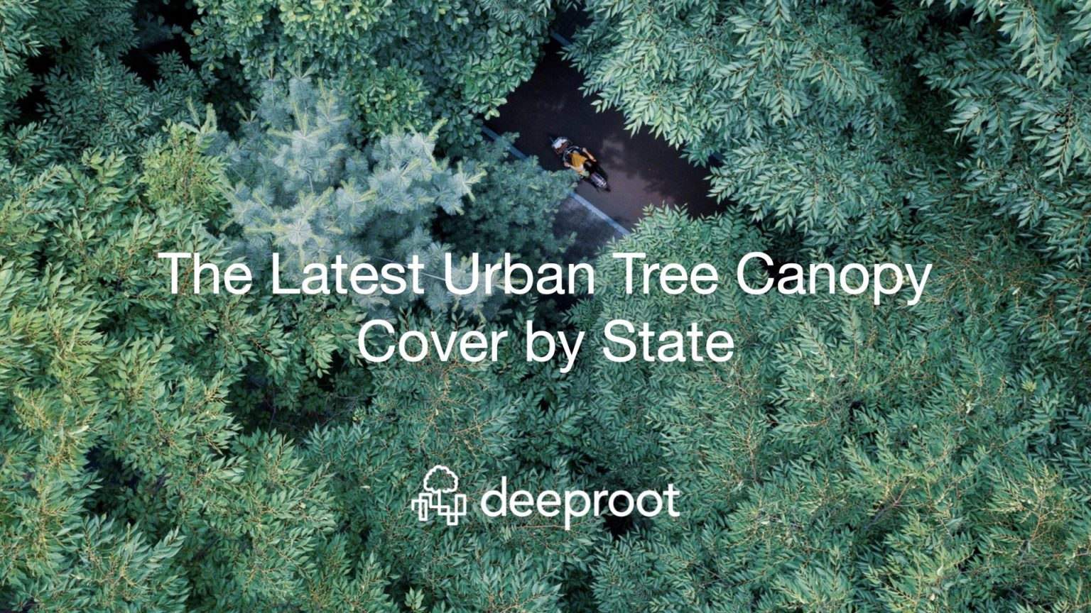 The Latest Urban Tree Canopy Cover by State | DeepRoot Blog