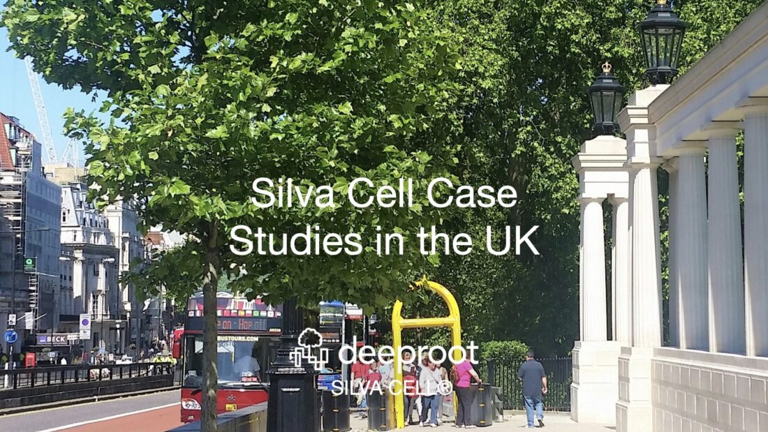 Silva Cell Case Studies in the UK | DeepRoot Blog