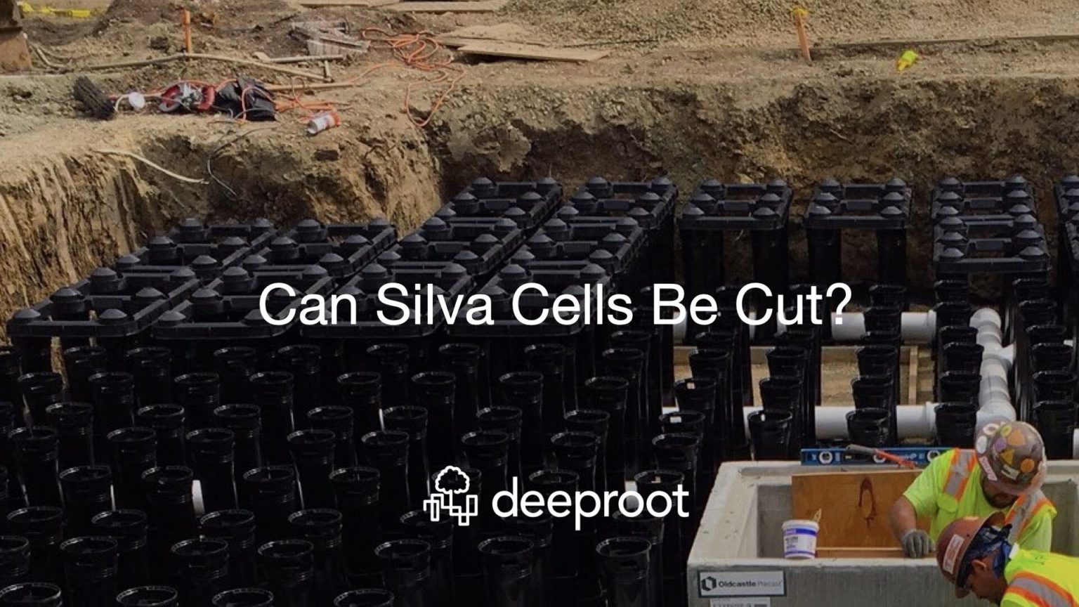 Stormwater Management | DeepRoot Blog