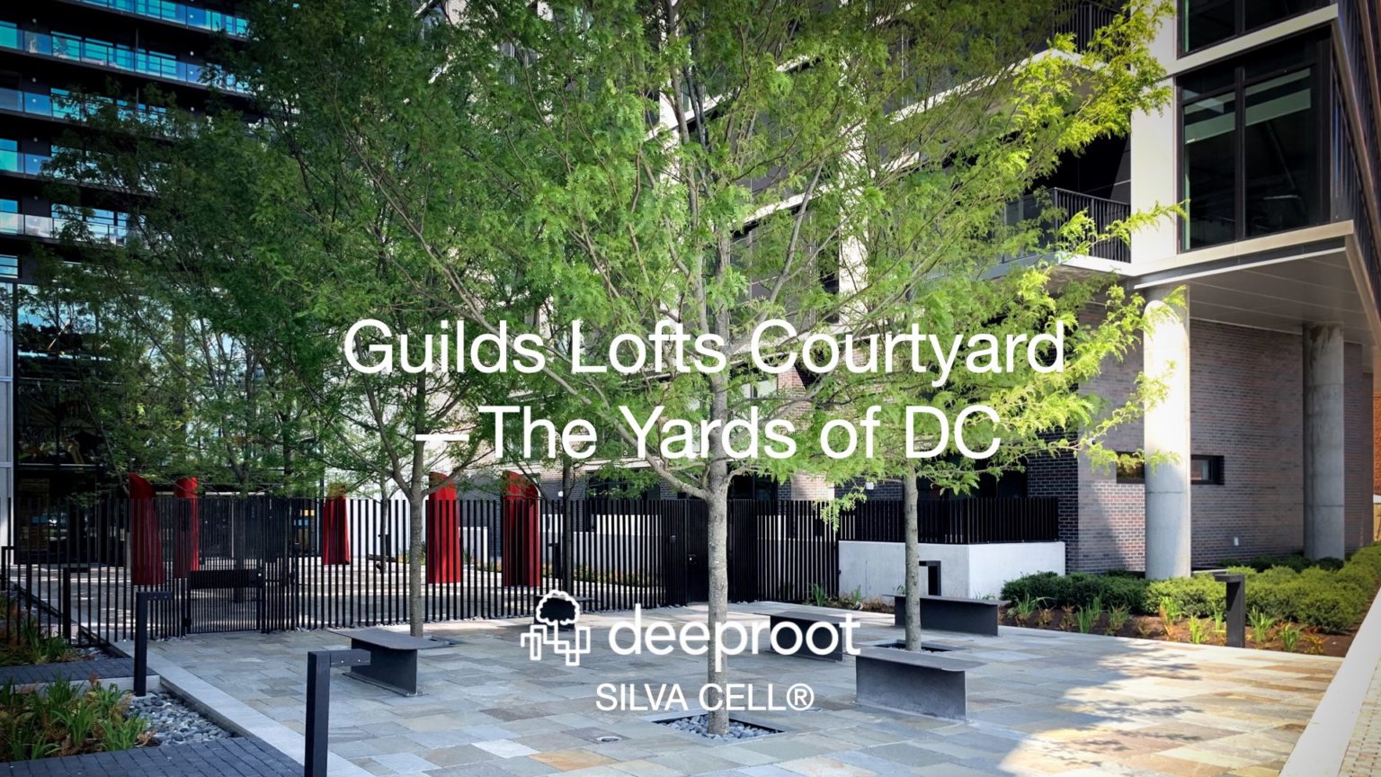 Blog Entries - Page 9 of 56 | DeepRoot Blog