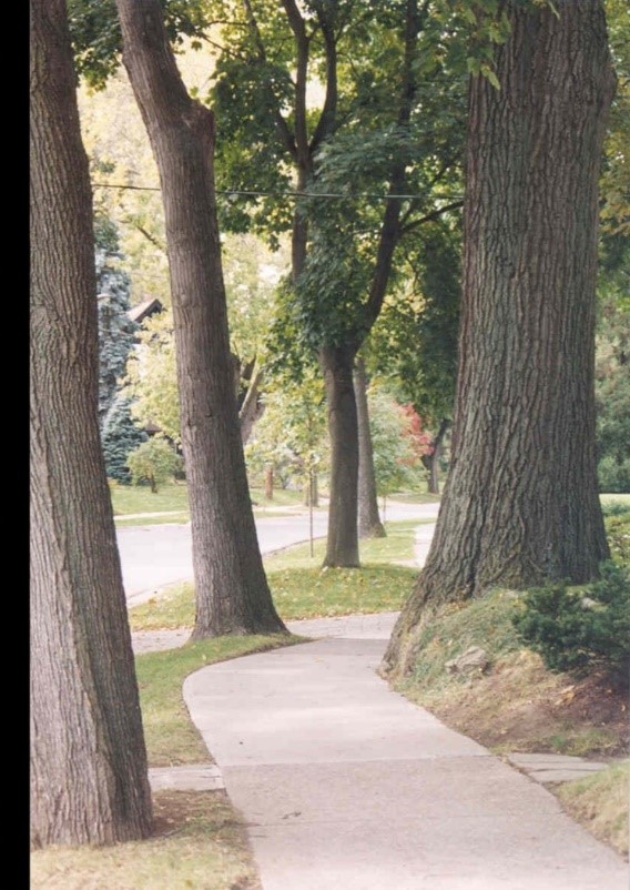 Green Infrastructure and the 3 Cs: 300 Front St. Case Study, Toronto ...