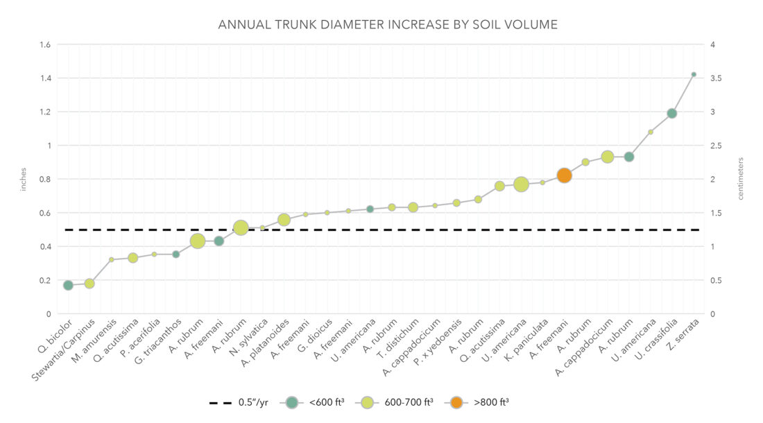 Growth Rates And Performance Of Trees In Silva Cells Deeproot
