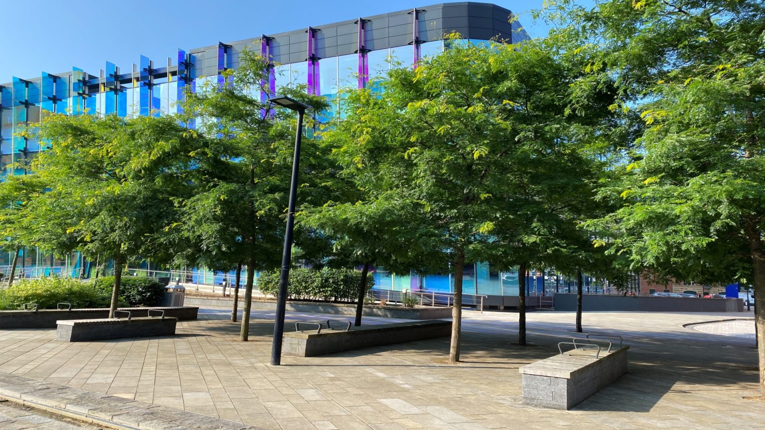 Leed's Urban Renewal Brings Trees To The City Centre | Case Study ...