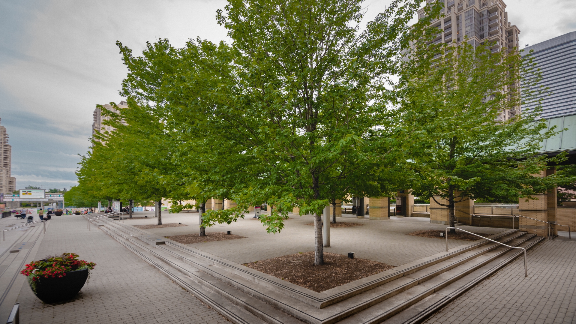 Mississauga Civic Square | Case Study | DeepRoot