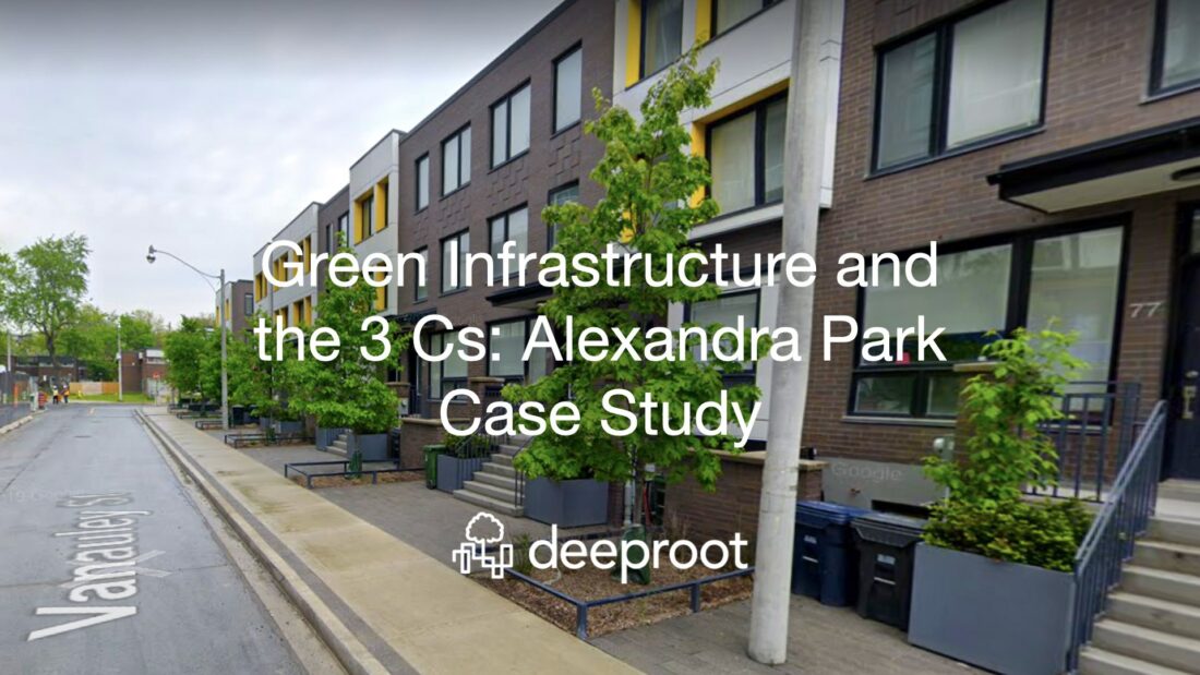 Green Infrastructure and the 3 Cs: Alexandra Park Case Study | DeepRoot ...
