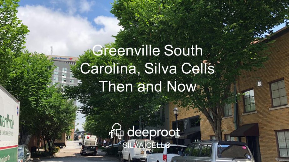 Greenville, South Carolina, Silva Cells Then and Now: Case Study ...