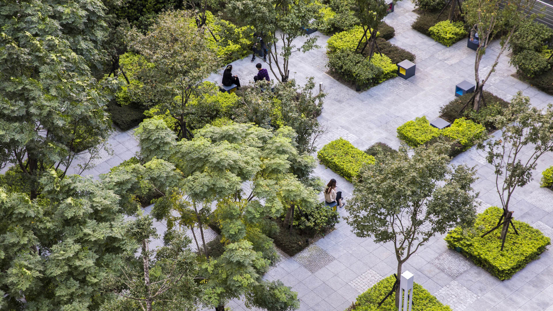 Silva Cell Trees Have Deep Roots in Plazas | DeepRoot Blog