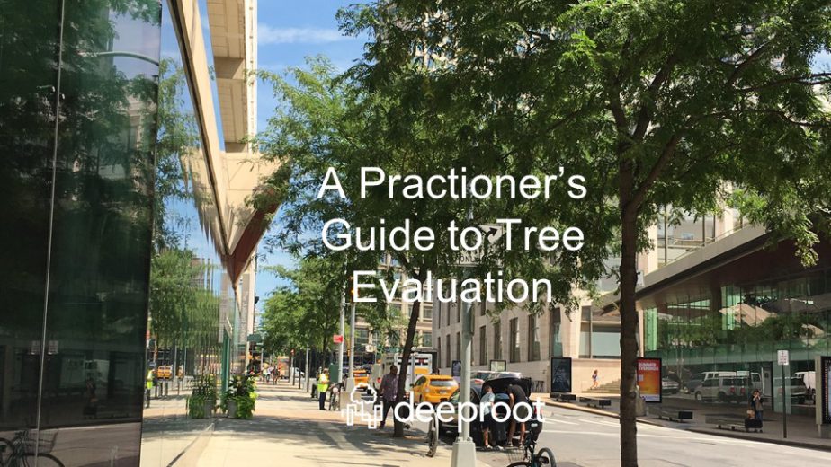 A Practitioner’s Guide to Tree Evaluation | DeepRoot Blog