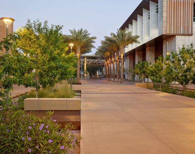 Silva Cell Tree and Stormwater Management System | DeepRoot