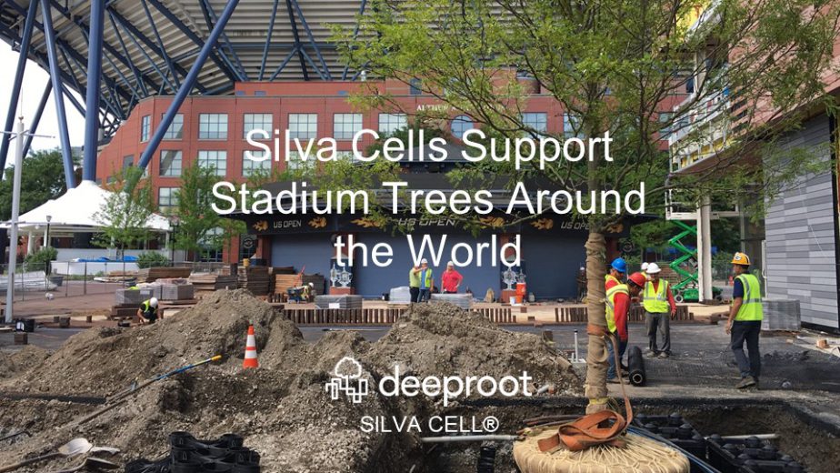 Silva Cells at Stadiums Around the World | DeepRoot Blog