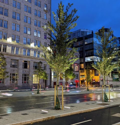 Deeproot Urban Landscape Products And Urban Design Solutions