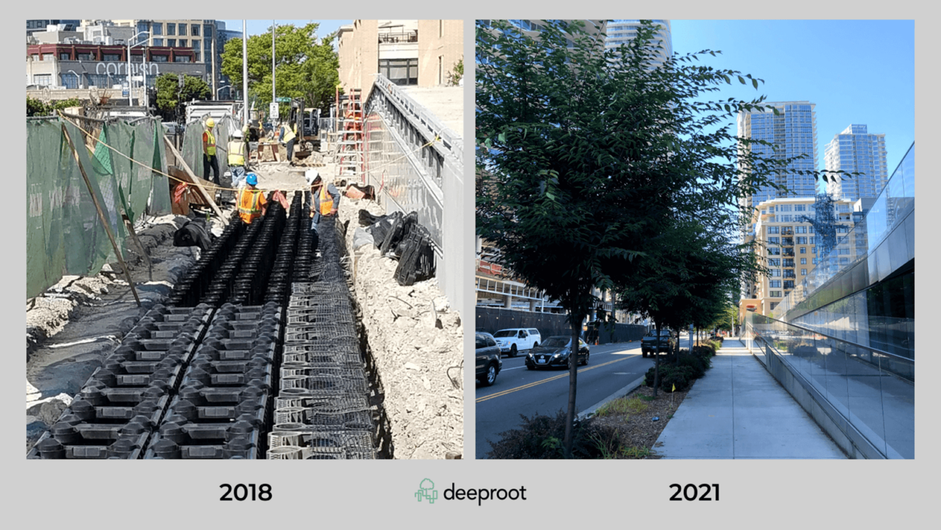 Seattle’s Denny Way Substation Attracts Residents with Open Green ...