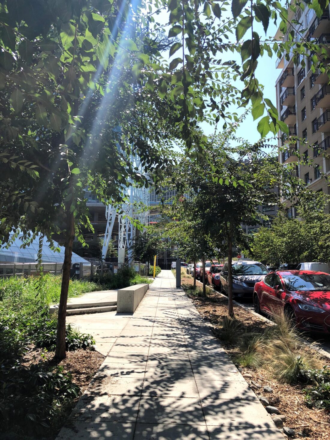 Seattle’s Denny Way Substation Attracts Residents with Open Green ...