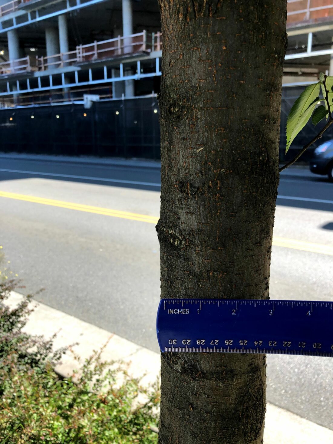 Seattle’s Denny Way Substation Attracts Residents with Open Green ...