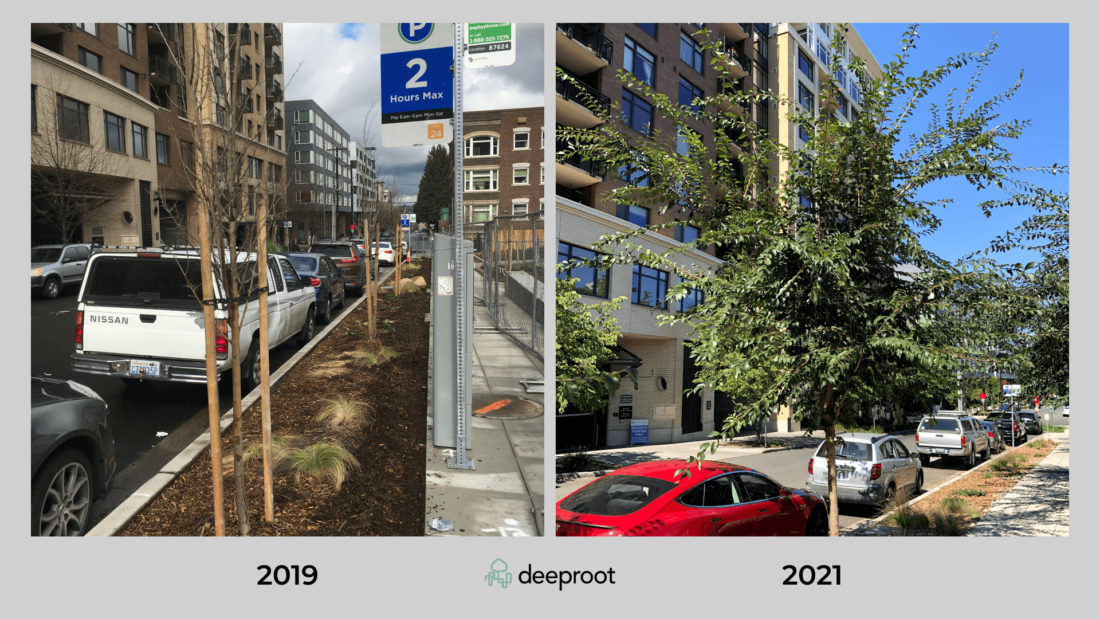 Seattle’s Denny Way Substation Attracts Residents with Open Green ...