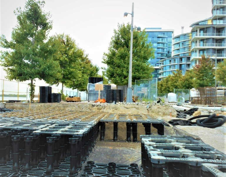 New Guideline Specifications for Nursery Tree Quality from the Urban ...