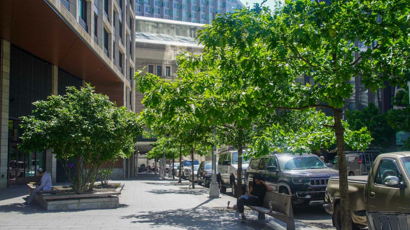 Manhattan Shade: Healthy City Trees and Climate Resiliency at Waterline ...