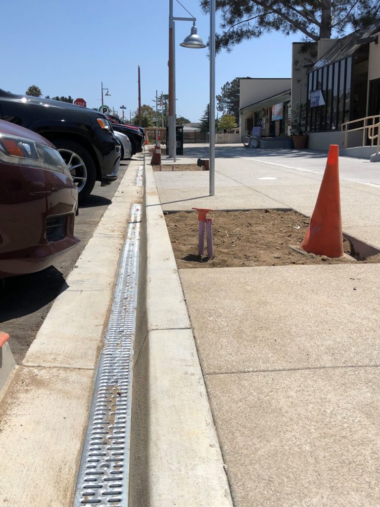 Camino Del Mar Streetscape Improvement Project | Case Study | DeepRoot