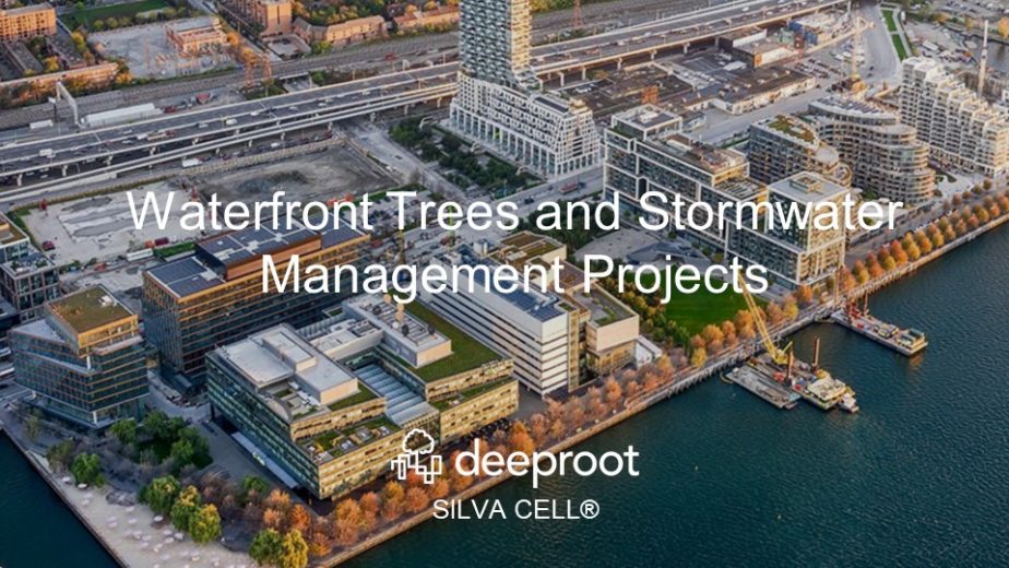 New Guideline Specifications for Nursery Tree Quality from the Urban ...