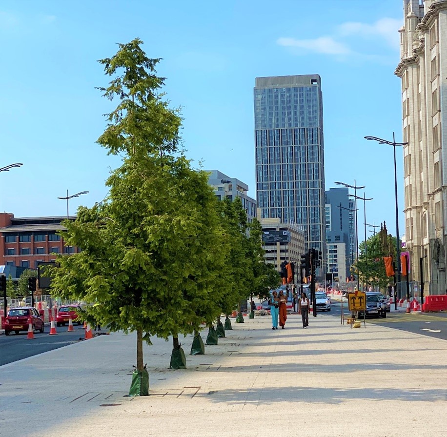 The Strand Connecting Liverpool | Case Study | DeepRoot