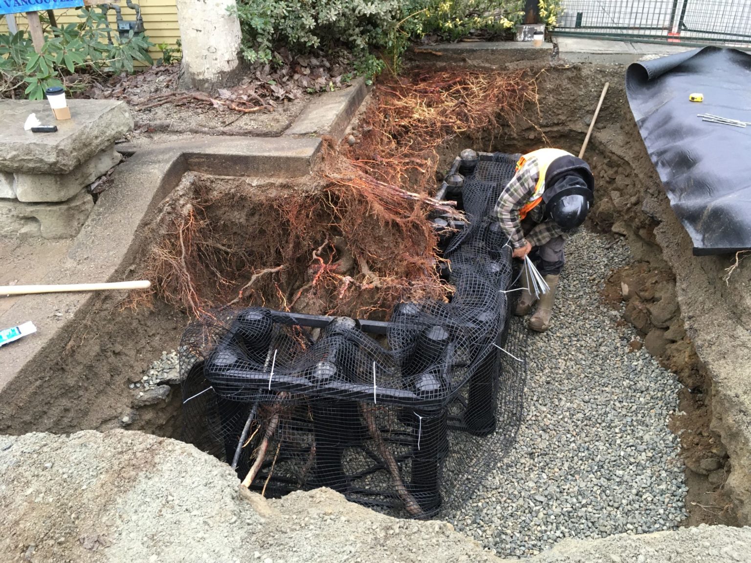 Top 7 DeepRoot Silva Cell FAQs for Contractors | DeepRoot Blog