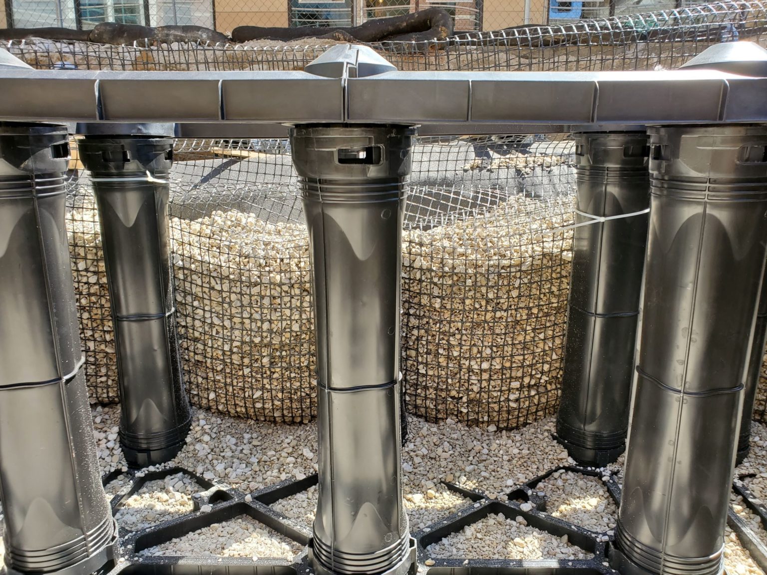 Top 7 DeepRoot Silva Cell FAQs for Contractors | DeepRoot Blog