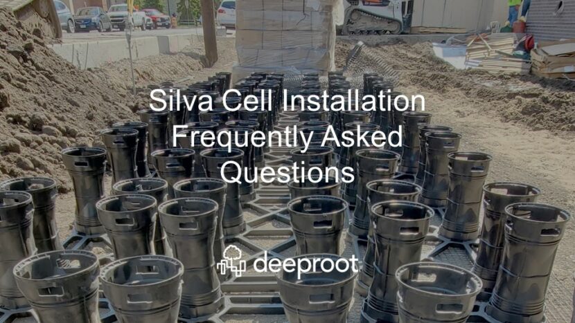 Design | DeepRoot Blog