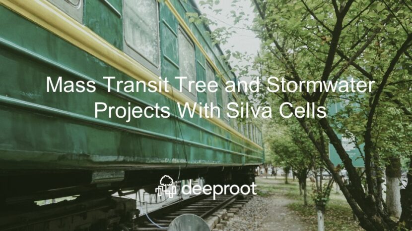 Mass Transit Tree and Stormwater Projects With Silva Cells | DeepRoot Blog