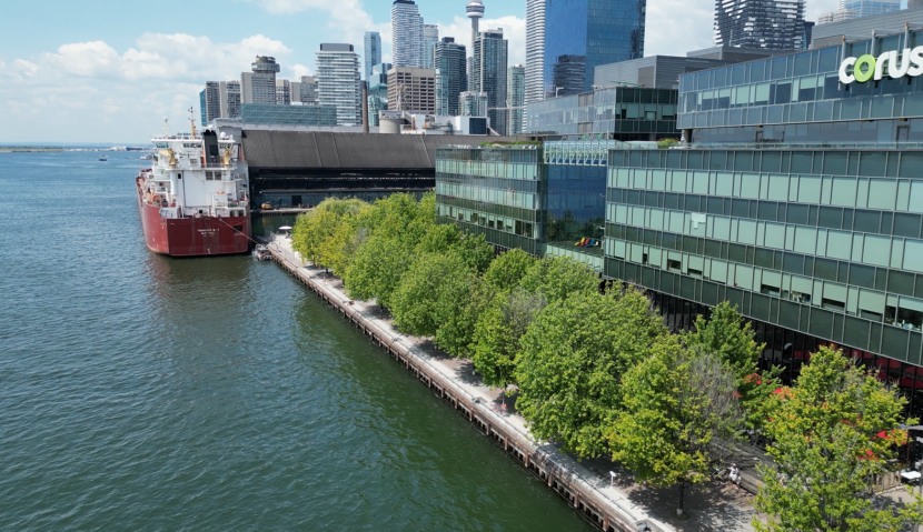 Soil Volume Targets for Urban Trees | DeepRoot