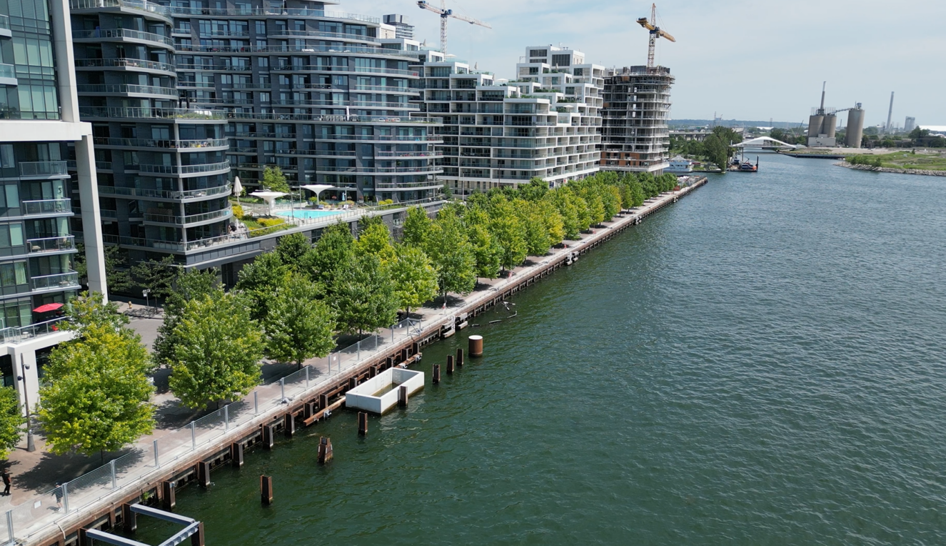 Toronto Waterfront: Building Sustainability with Silva Cells and Soil ...