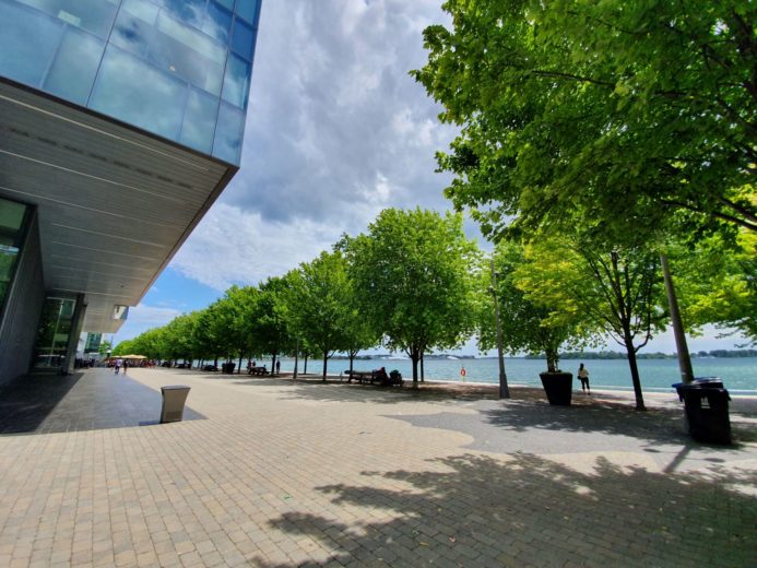 Revitalizing Toronto’s Waterfront: A Decade of Canopy Transformation ...