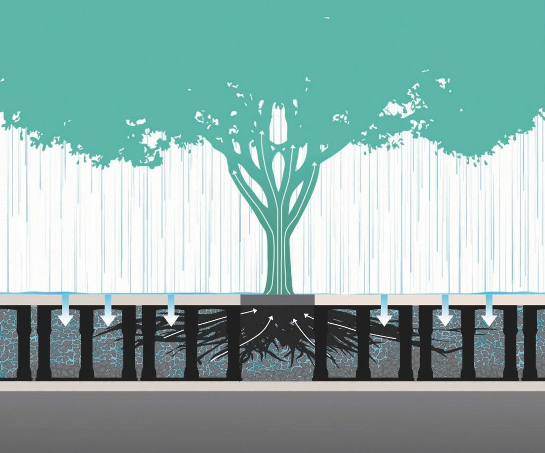 Stormwater Management Approvals | DeepRoot