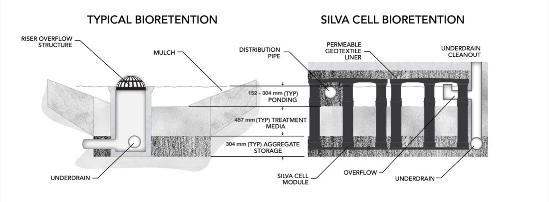 Silva Cell Tree And Stormwater Management System Deeproot