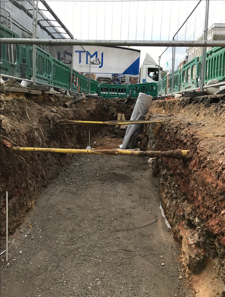 Tree Trenches and Silva Cells: Working Together for Healthy Tree Growth ...