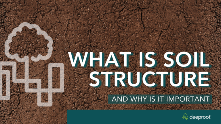What is Soil Structure and Why is it Important? | DeepRoot Blog