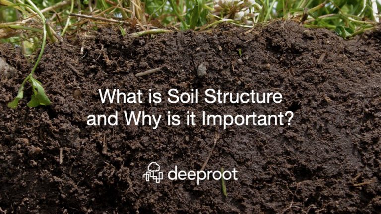 What is Soil Structure and Why is it Important? | DeepRoot Blog
