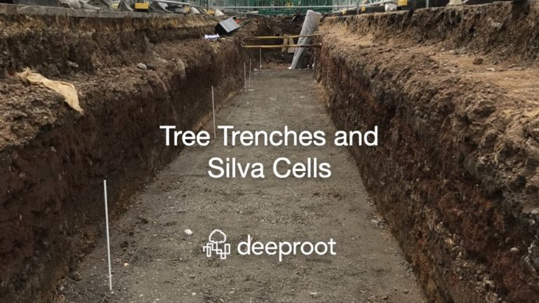 Tree Trenches and Silva Cells: Working Together for Healthy Tree Growth ...