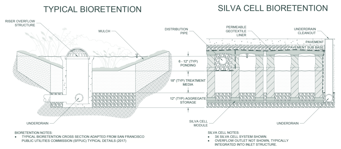 Stormwater Management Through Bioretention | Silva Cell by DeepRoot